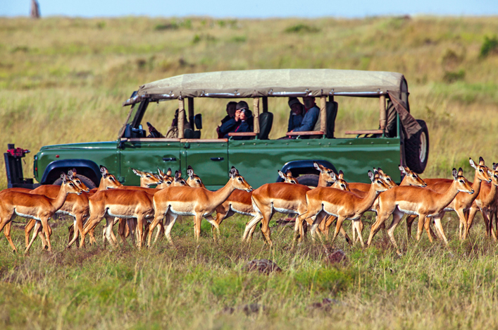 Africa Escorted Tours | Ultra-Luxury Land Journeys - Scenic